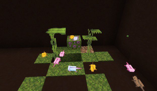 Better Axolotls Texture Pack Mcpe - 1Minecraft