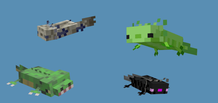 Better Axolotls Texture Pack Mcpe - 1Minecraft