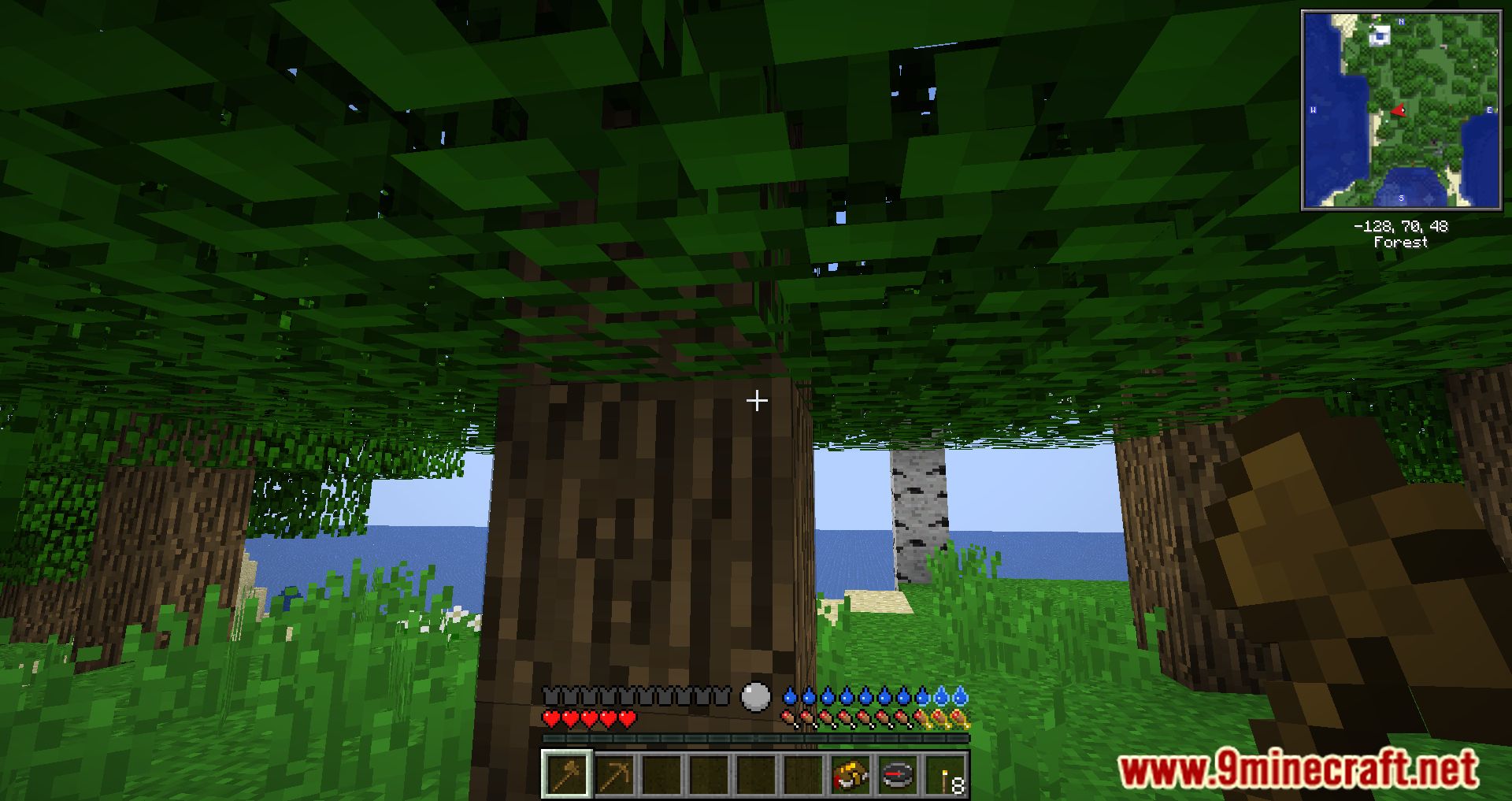 Magiculture 2 Modpack - 1Minecraft