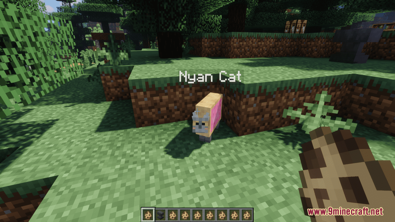 Meow Society Resource Pack - 1Minecraft