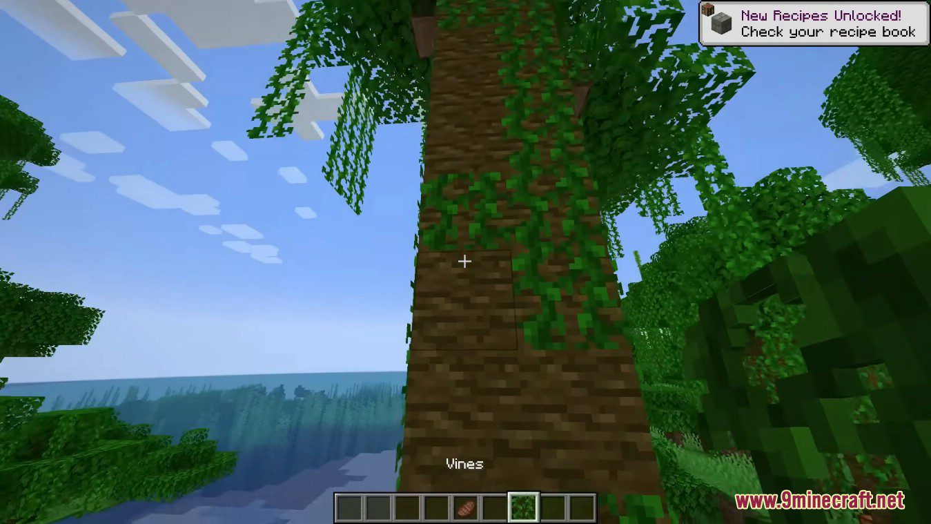 Minecraft 1 19 4 Snapshot 23w06a - 1Minecraft