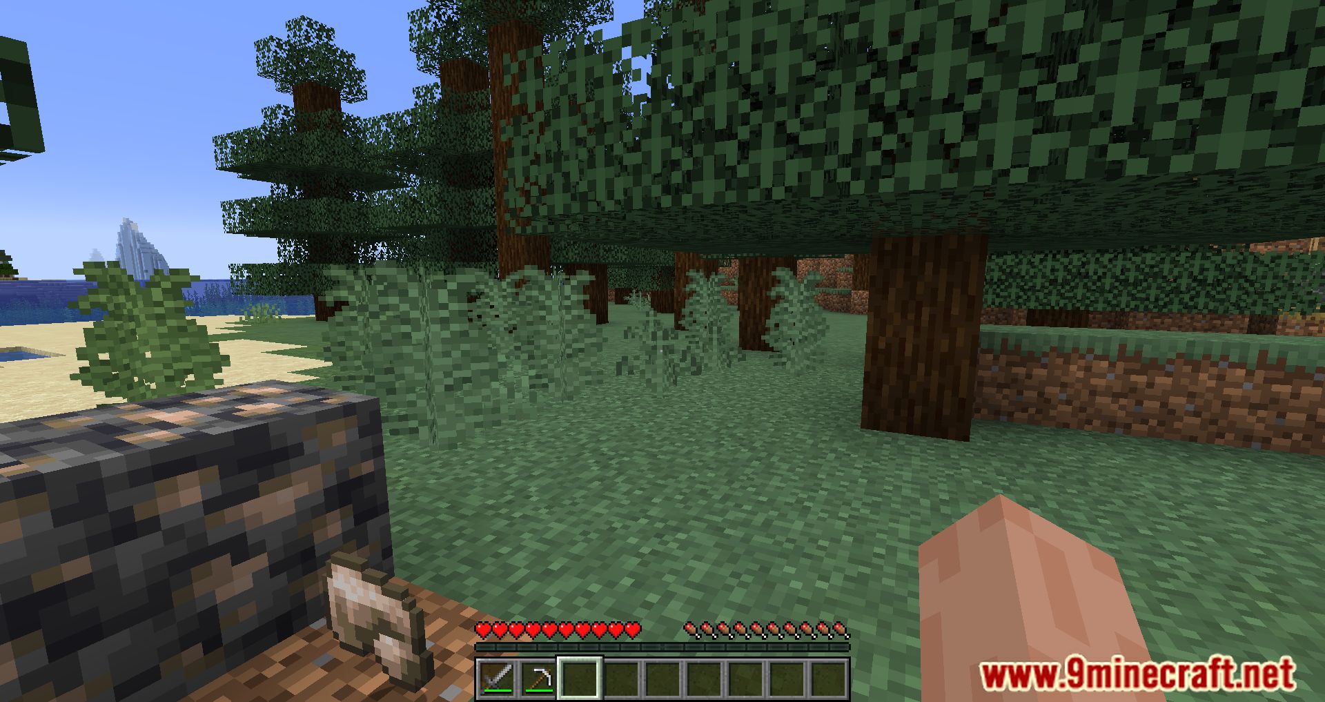 Situational Crosshair Mod - 1Minecraft