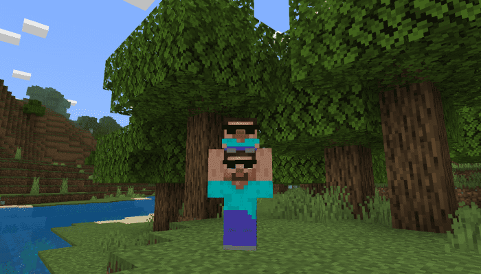Steve Alex Holding Skin Pack Mcpe - 1Minecraft