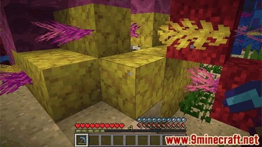Horn Coral Block Wiki Guide - 1Minecraft