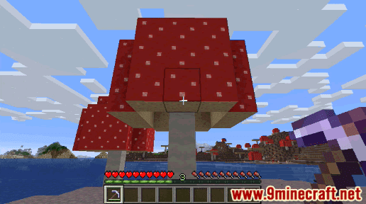 Red Mushroom Block Wiki Guide - 1Minecraft