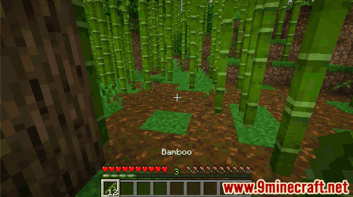Bamboo Wiki Guide - 1Minecraft