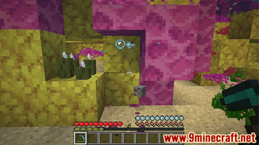 Dead Brain Coral Block Wiki Guide - 1Minecraft