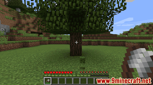 Oak Leaves Wiki Guide - 1Minecraft