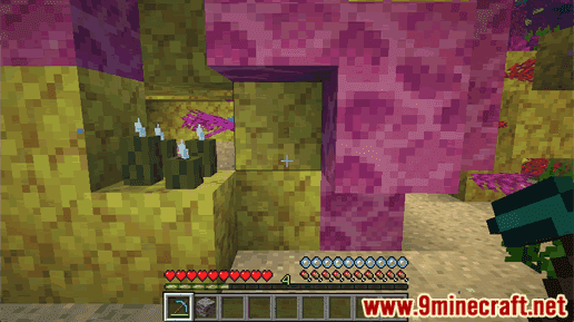 Dead Brain Coral Block Wiki Guide - 1Minecraft