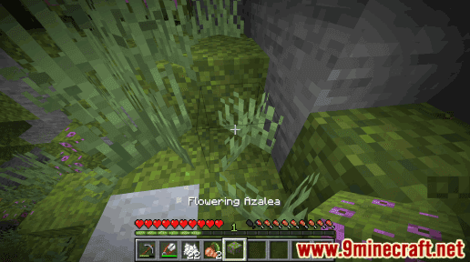 Flowering Azalea Wiki Guide - 1Minecraft