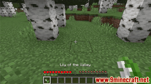 Lily Of The Valley Wiki Guide - 1Minecraft