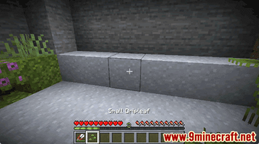 Small Dripleaf Wiki Guide - 1Minecraft