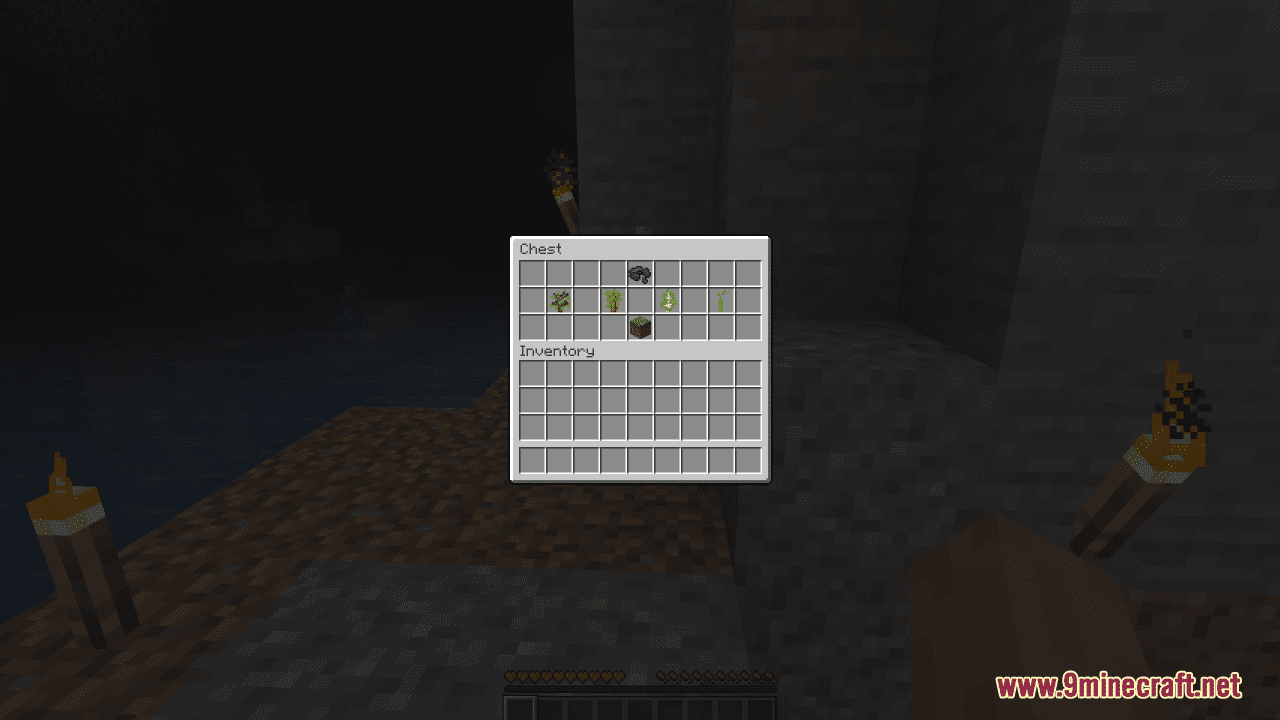 Cave Survival Map - 1Minecraft