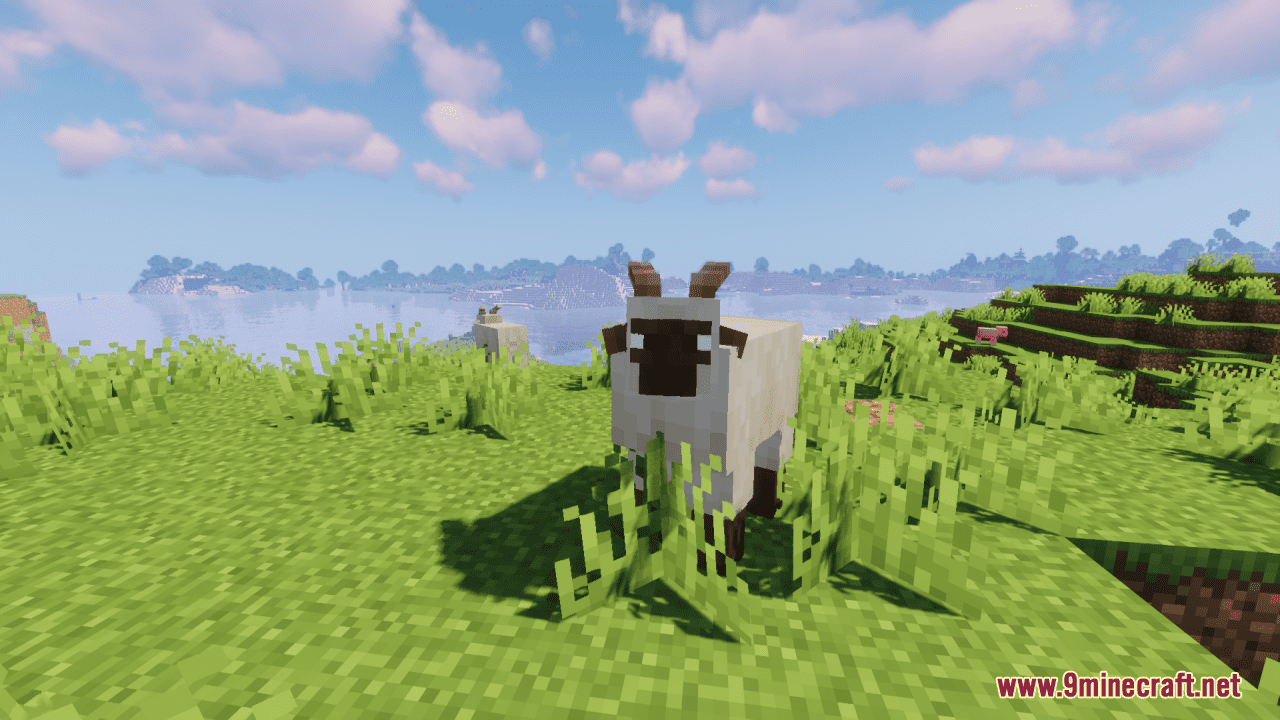Lucilles Sheep Remodel Resource Pack - 1Minecraft