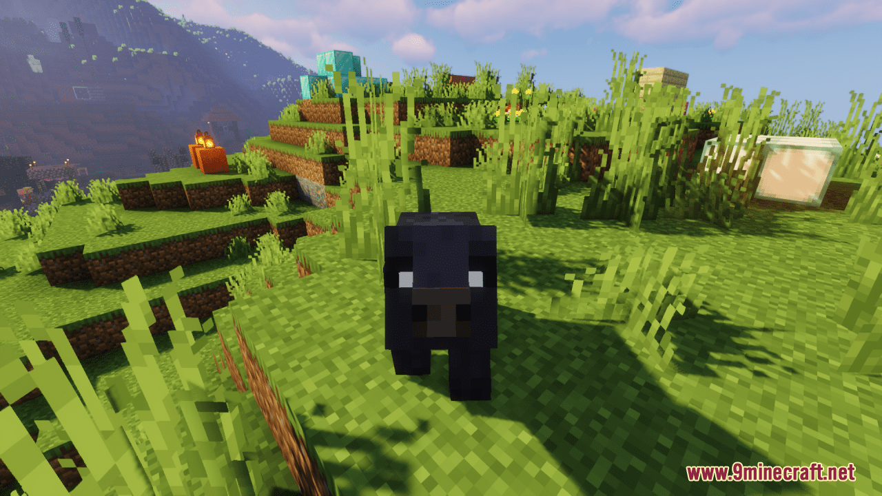 More Pig Variants Resource Pack - 1Minecraft More Pig Variants Resource Pack - 1Minecraft