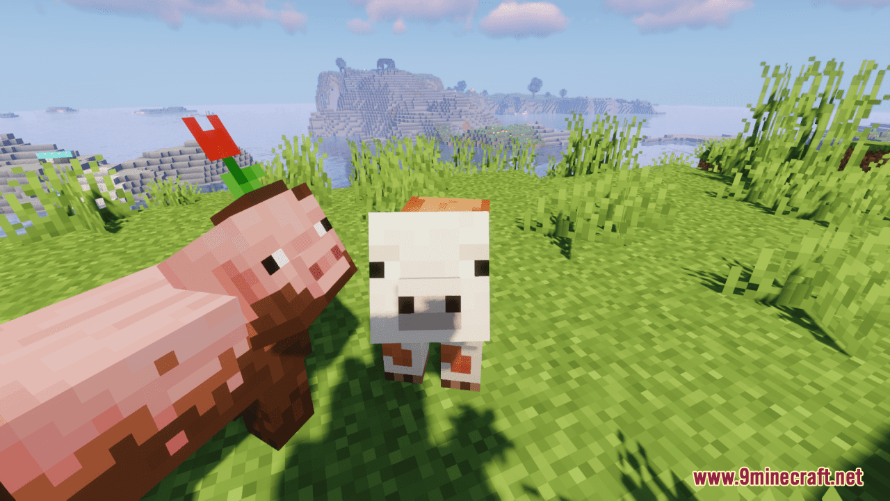 More Pig Variants Resource Pack - 1Minecraft