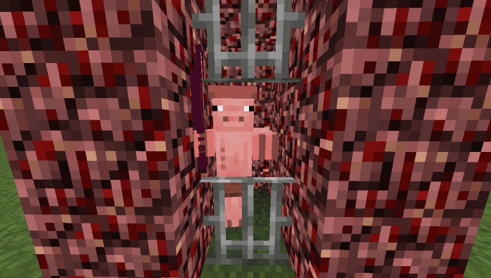 Old Pigman Plus Addon Mcpe - 1Minecraft