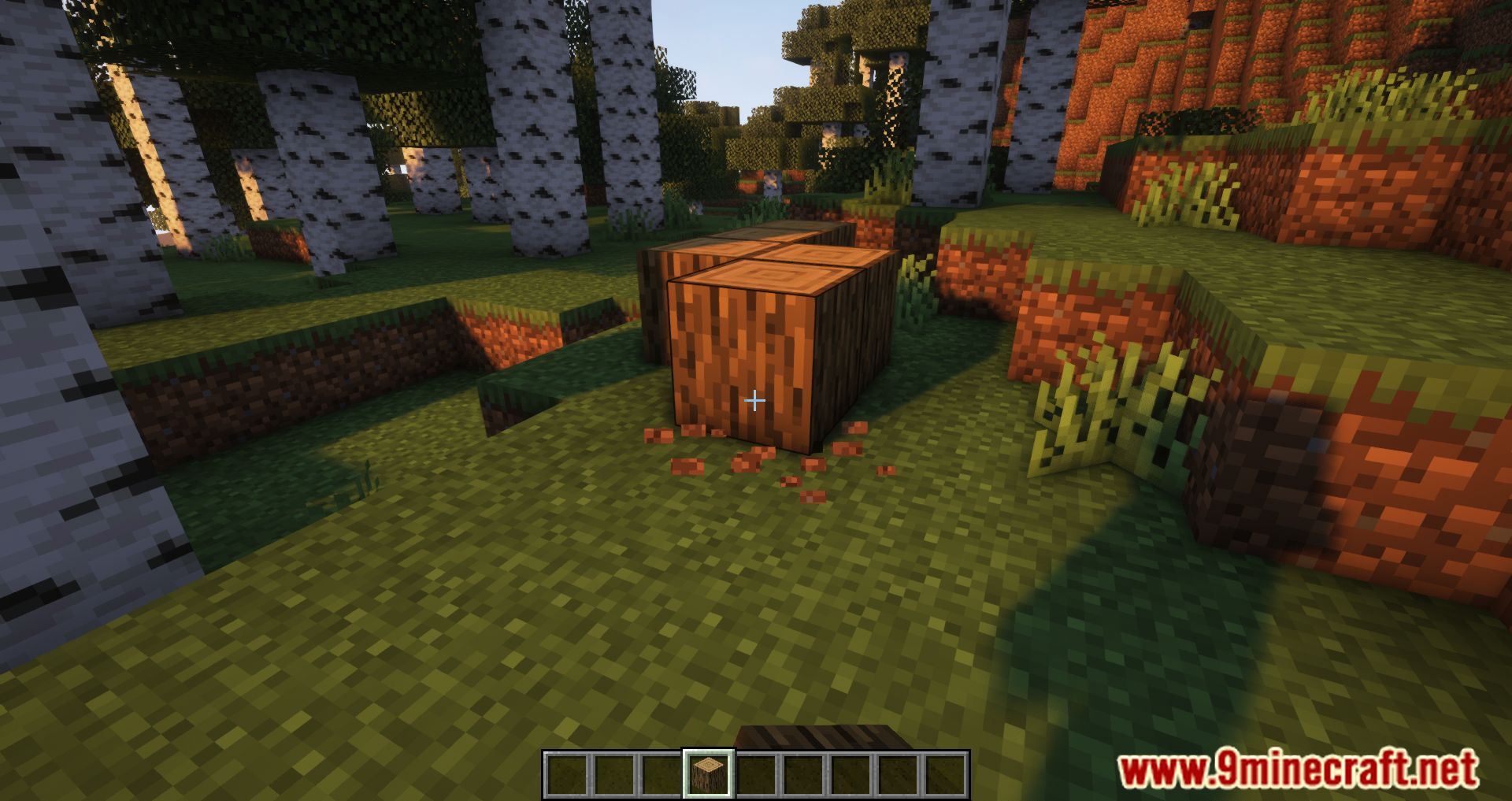 Precise Block Placing Mod - 1Minecraft