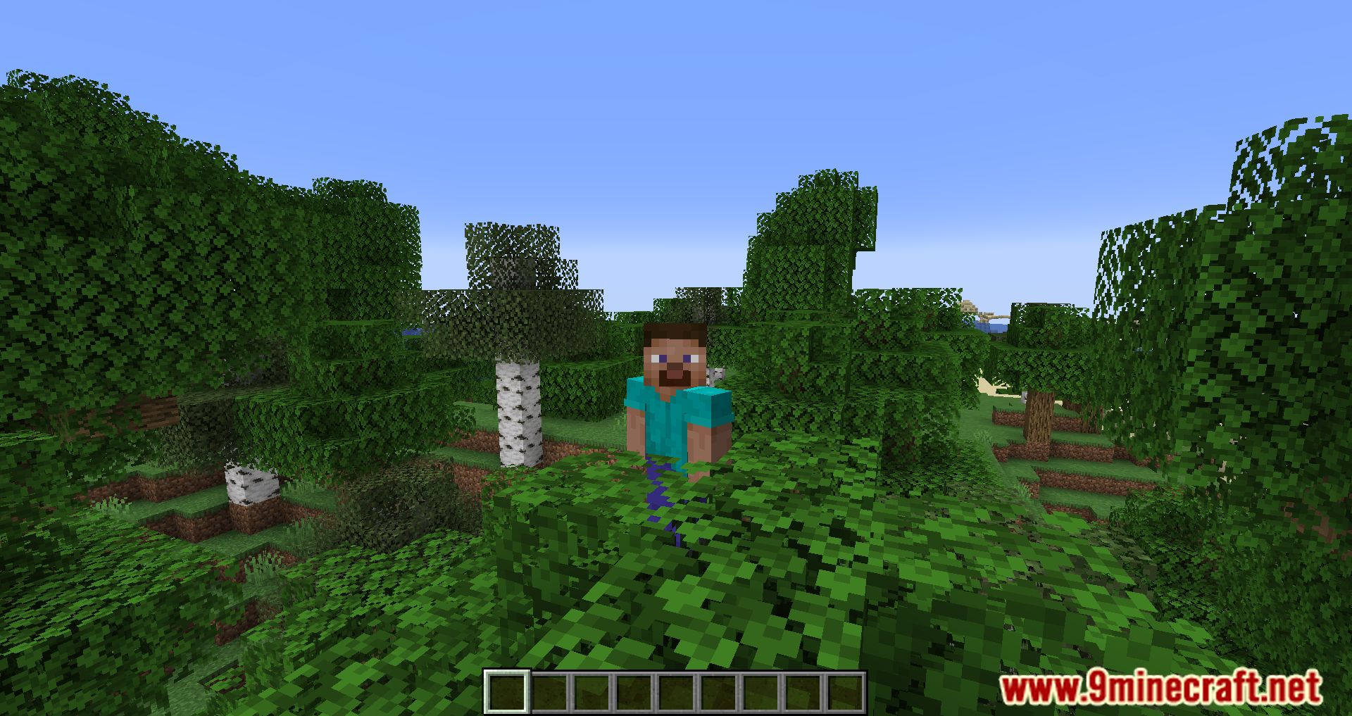 Third Person Crosshair Mod - 1Minecraft