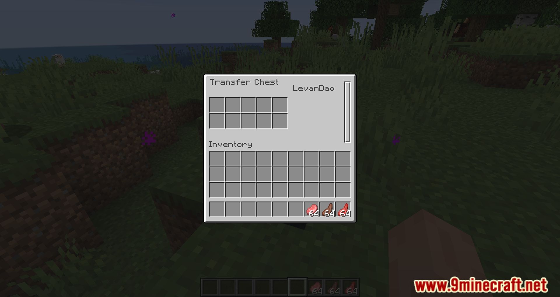 Transfer Chest Mod - 1Minecraft