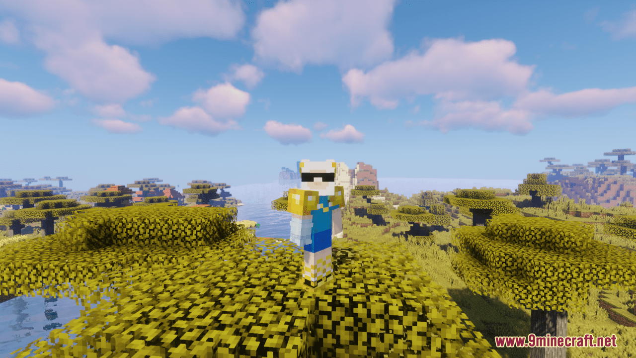 Unobtrusive Armor Resource Pack - 1Minecraft