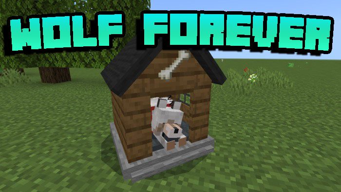 Wolf Forever Addon Mcpe - 1Minecraft