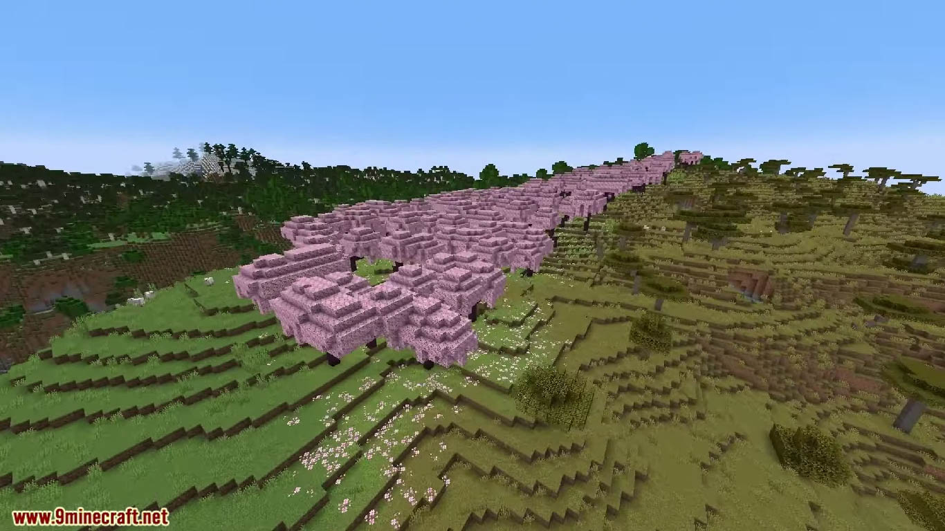 3 Best New Cherry Grove Biome Seeds For Minecraft Java Edition - 1Minecraft