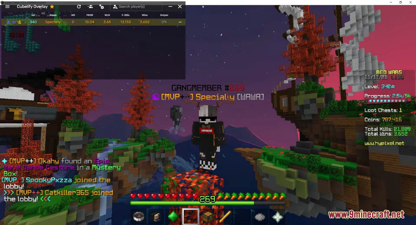 Cubelify Overlay Tool - 1Minecraft