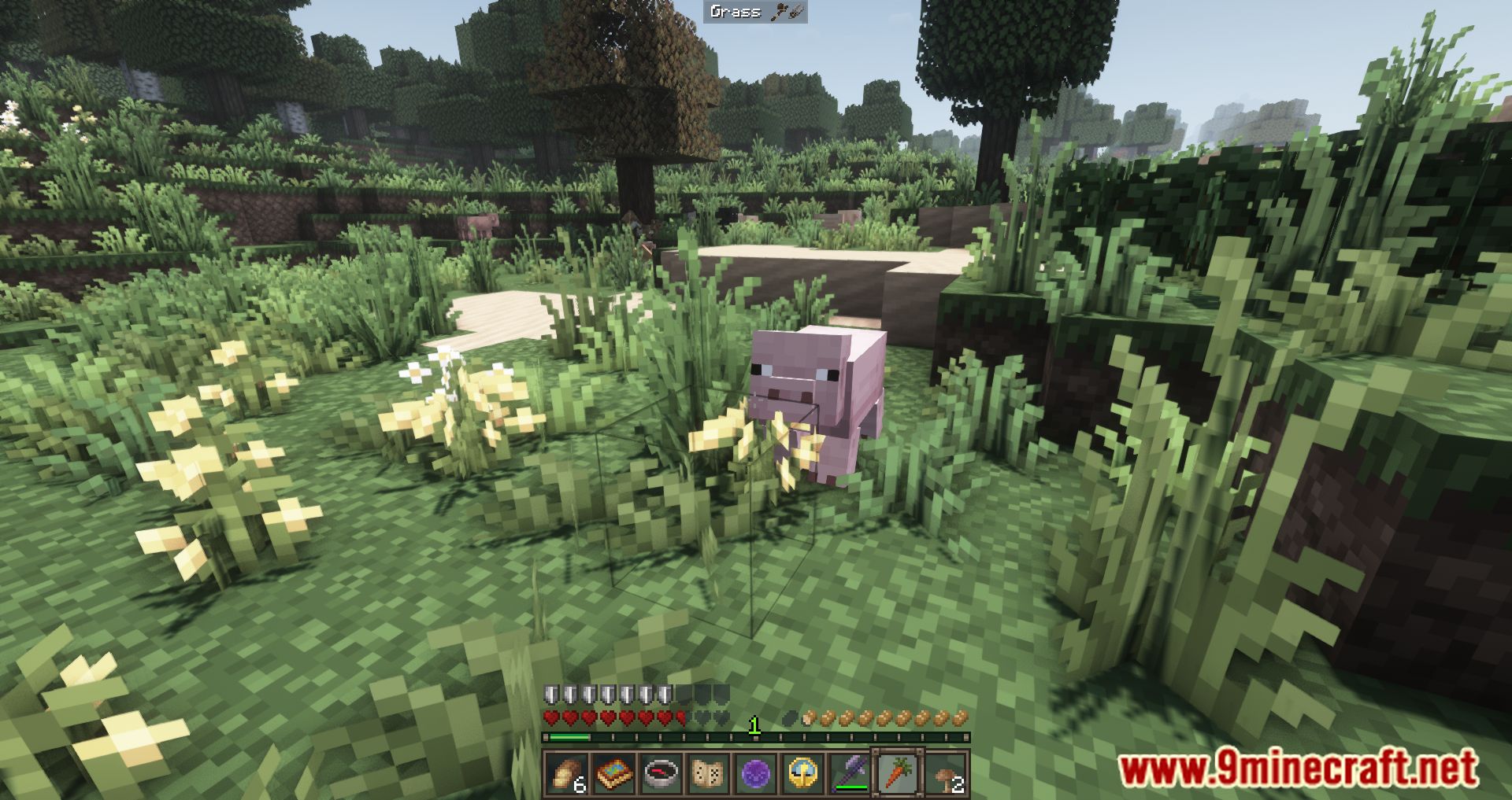 Dawncraft Modpack - 1Minecraft