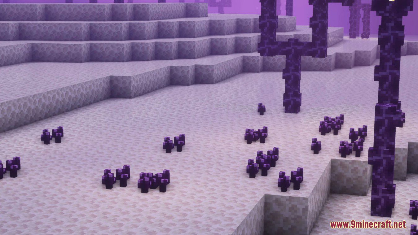 Ends Delight Mod - 1Minecraft