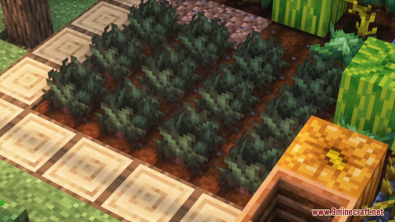 Miners Delight Plus Mod - 1Minecraft