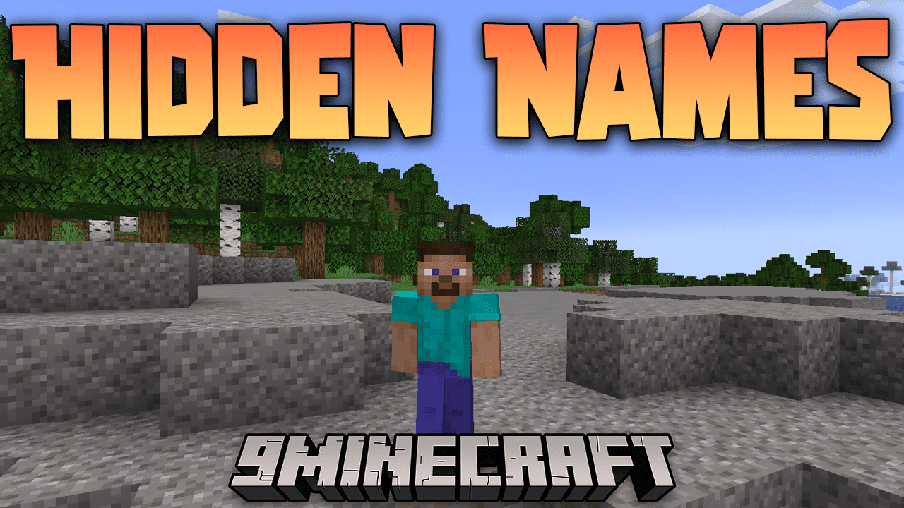 Hidden Names Mod - 1Minecraft