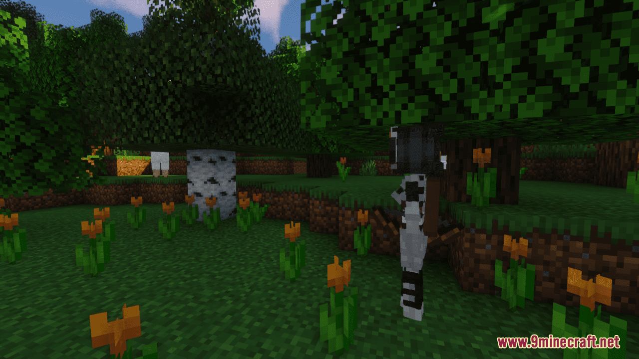 Skeleton Girls Resource Pack - 1Minecraft
