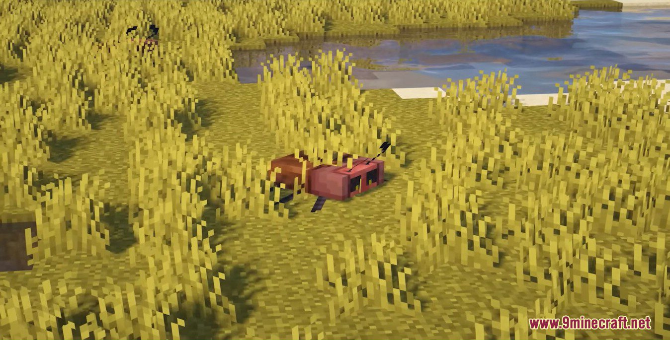 Species Mod - 1Minecraft