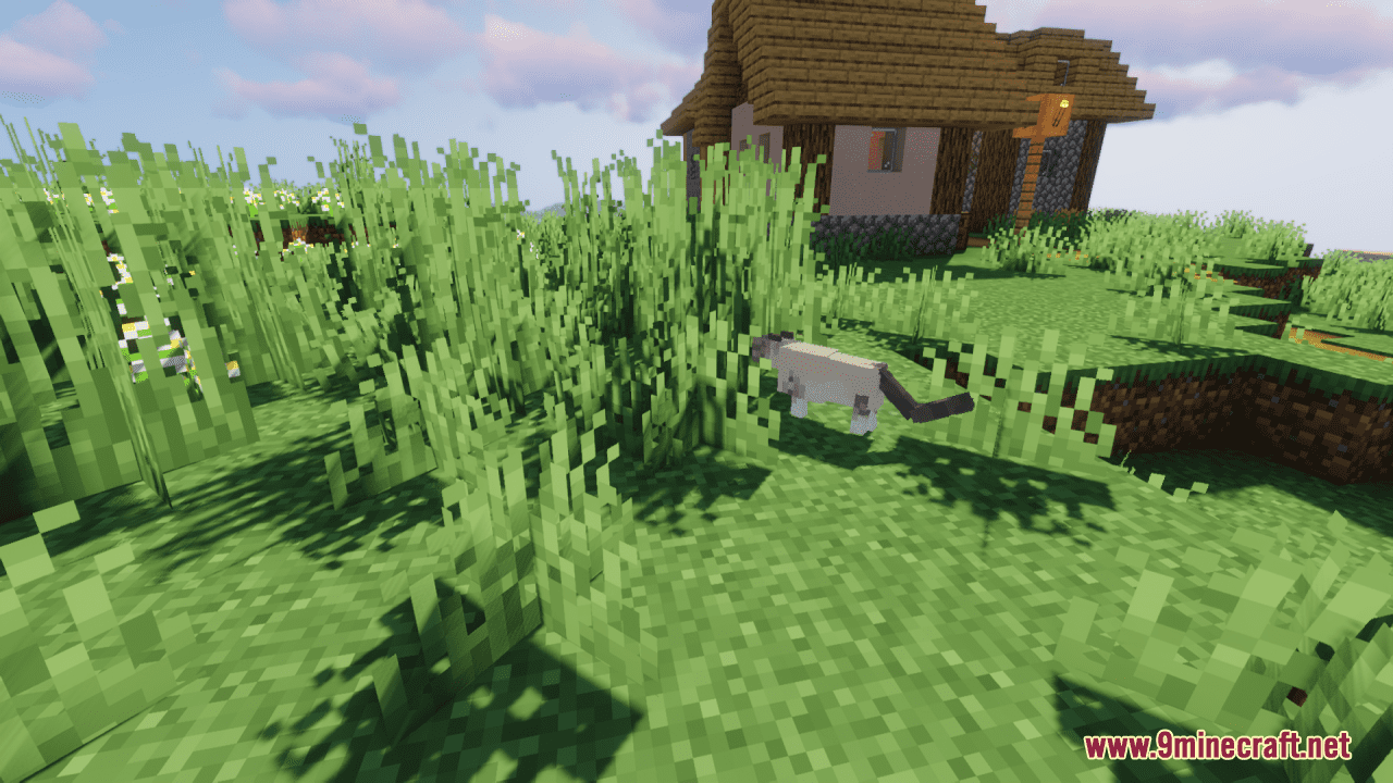 Too Many Cats Resource Pack - 1Minecraft