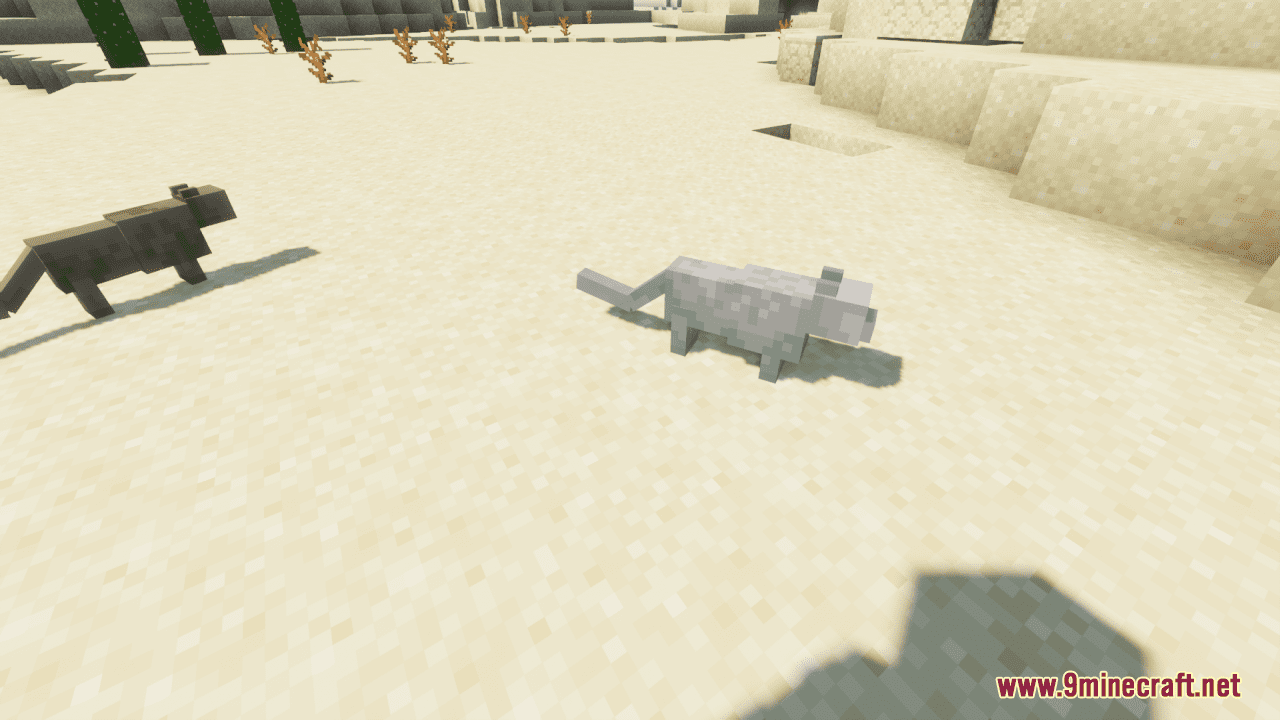 Too Many Cats Resource Pack - 1Minecraft