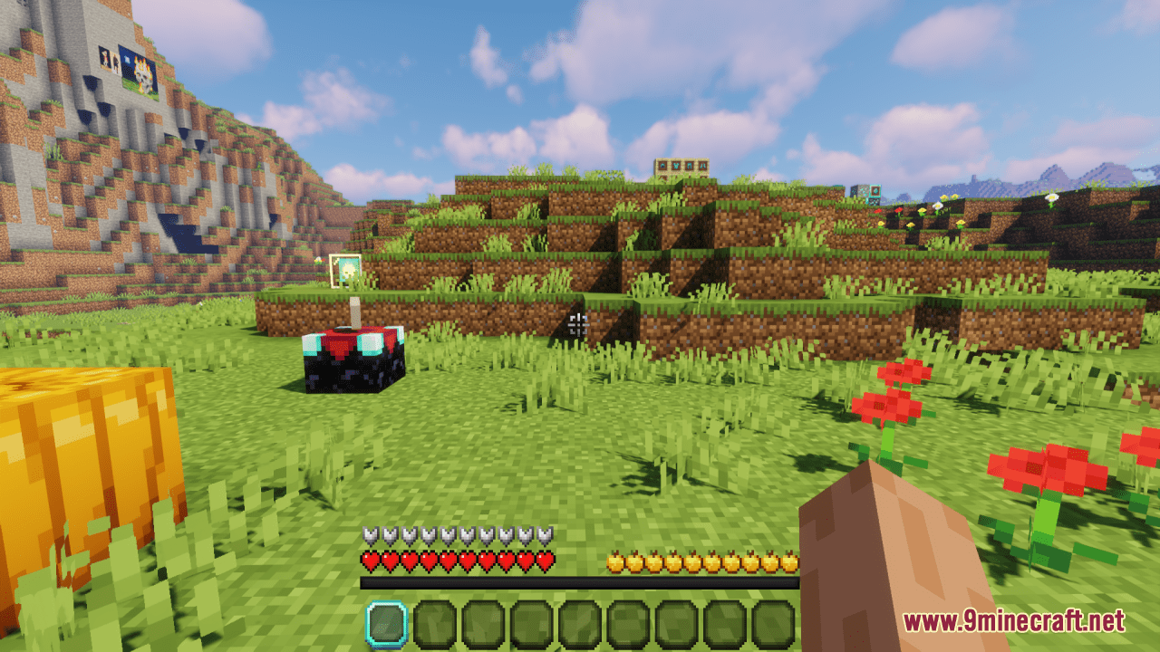 Bits Tweaks Resource Pack - 1Minecraft