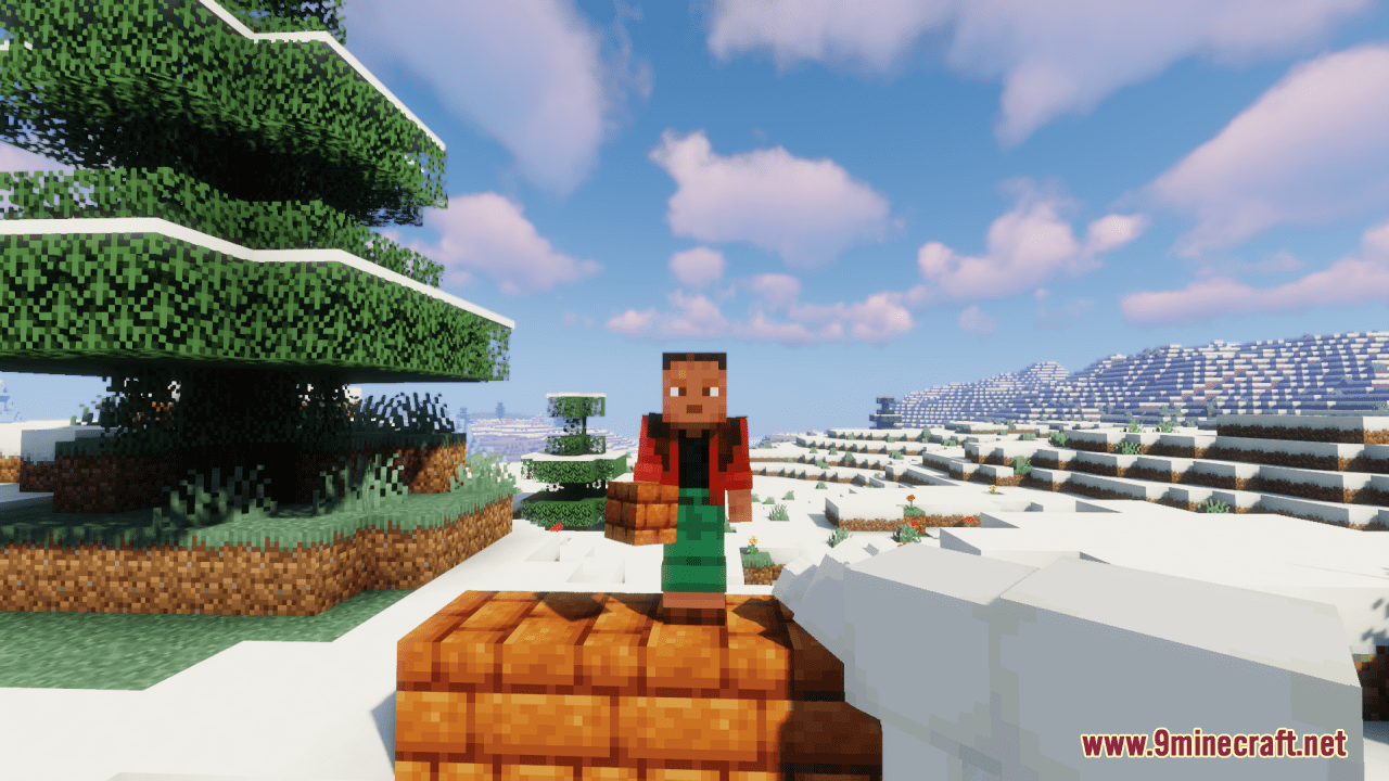 Mud Mario Bricks Resource Pack - 1Minecraft