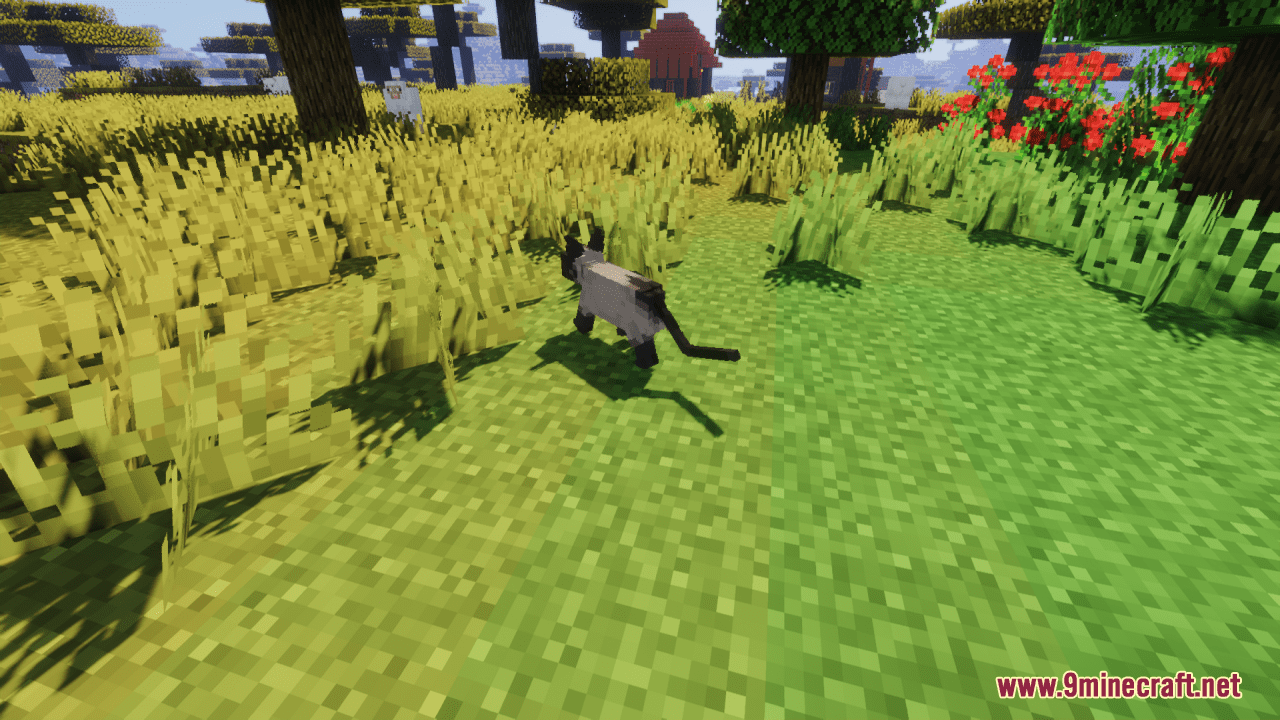 Better Cats Resource Pack 1minecraft
