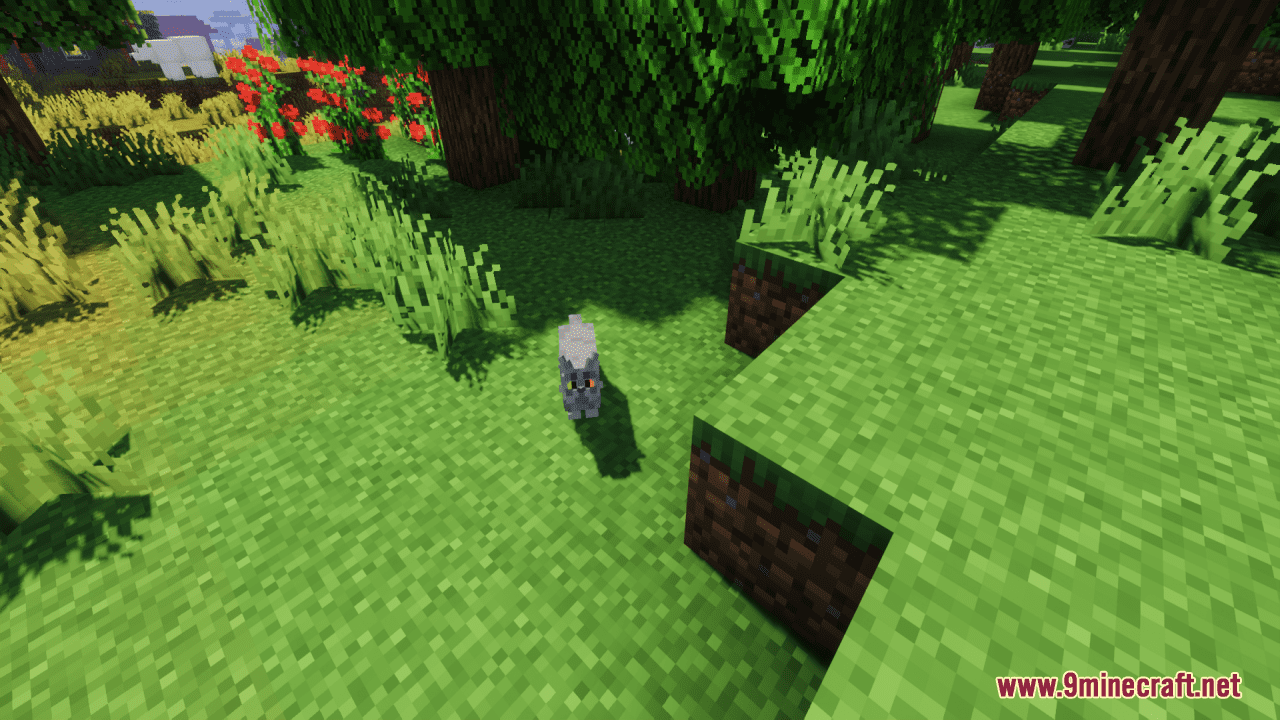 Better Cats Resource Pack - 1Minecraft