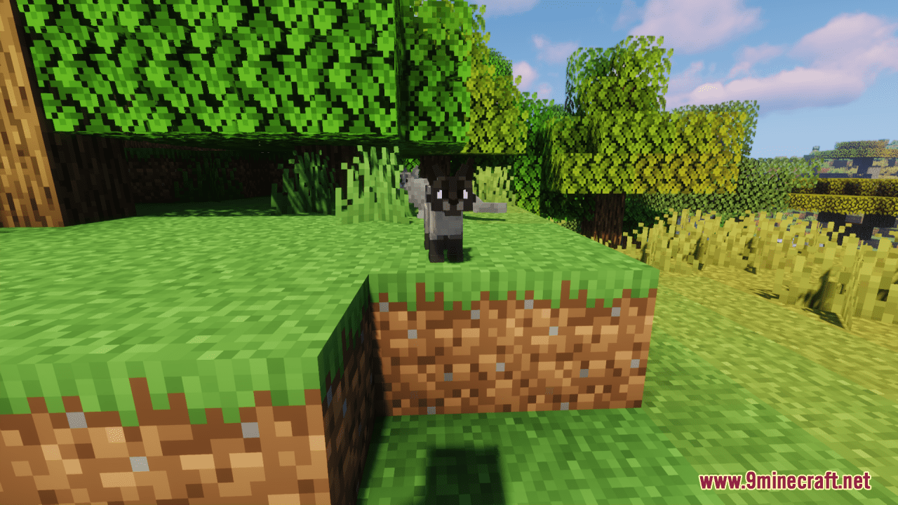 Better Cats Resource Pack - 1Minecraft