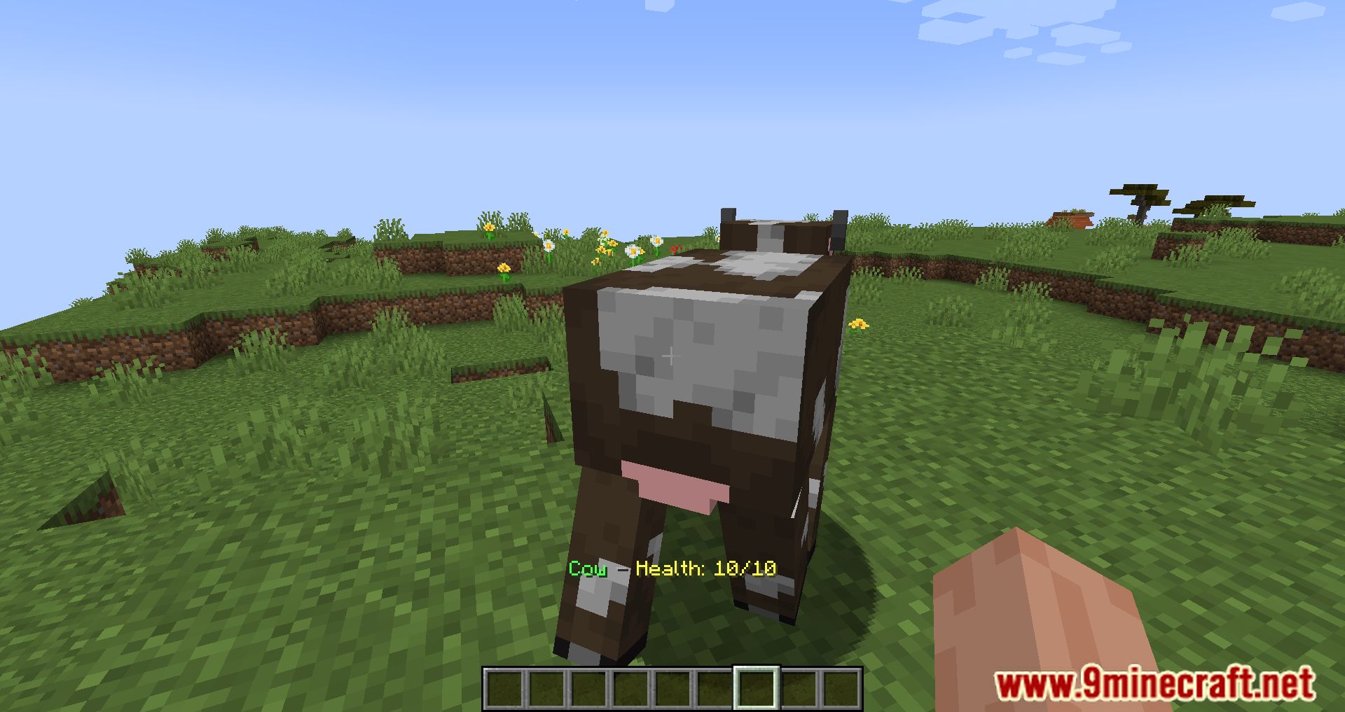 Vanilla Refresh Mod - 1Minecraft