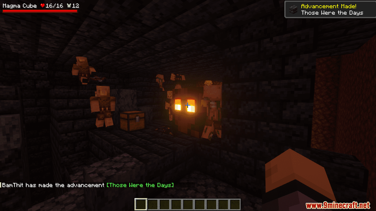 Health Indicator Txf Mod - 1Minecraft